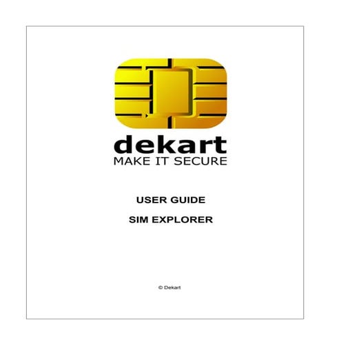 Sim explorer en | PDF