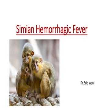 Simian haemorrhagic fever - SHF | PPT
