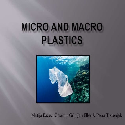 micro and macro | PPTX