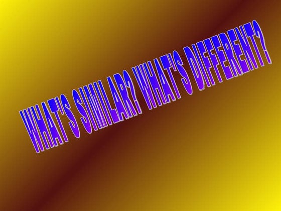 Similar and different | PPT