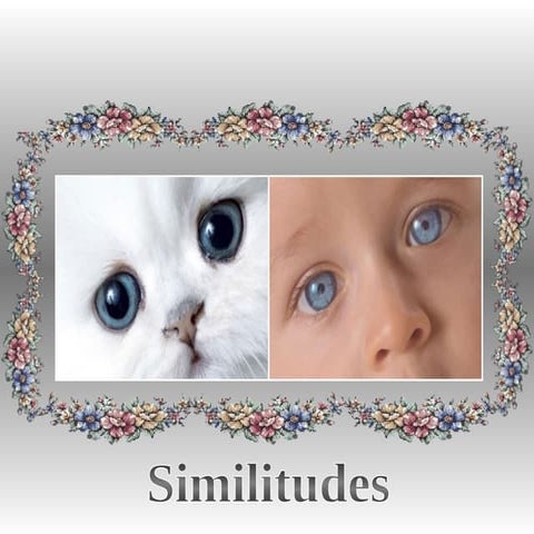 Similitudes | PPS