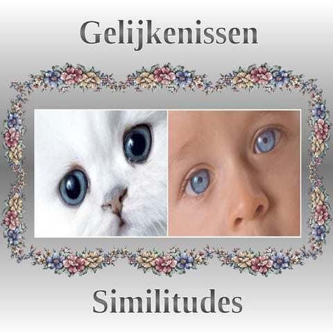 Similitudes | PPS