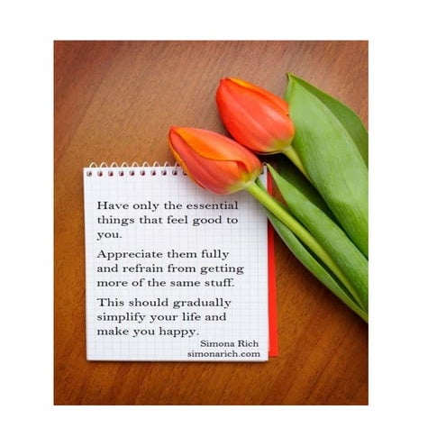 Happiness Quote - Simona Rich | PDF