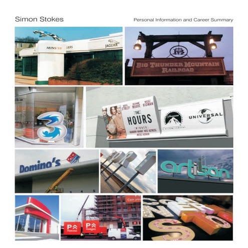 Simon Stokes Career Summary 2010 | PDF