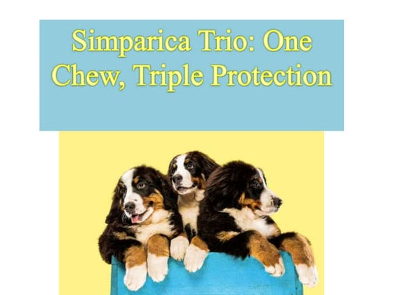 Simparica Trio for Dogs - Flea, Tick, Heartworm, and Worm Protection | PPT
