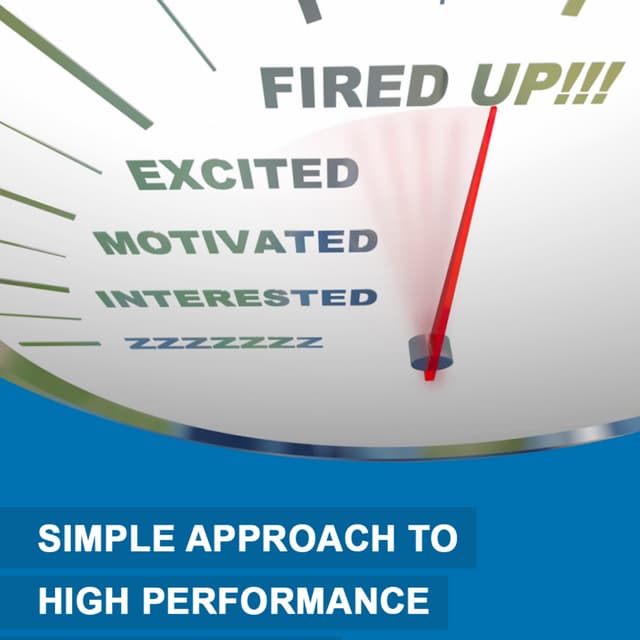 Infographic: SIMPLE approach to high performance organization | PDF