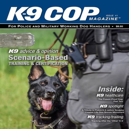 A Simple Lure Reward Training System | PDF