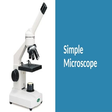 Important points to remember about simple microscope | PPTX