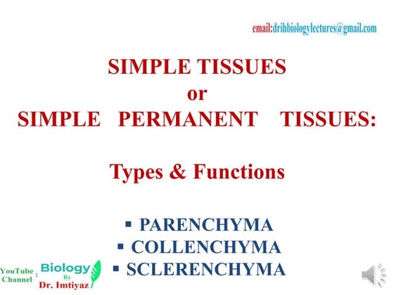 Simple and complex tissue (permanent tissue) | PDF | Biological ...