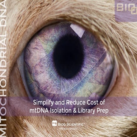 Bioo Scientific - Simplify and Reduce Cost of mtDNA Isolation and ...