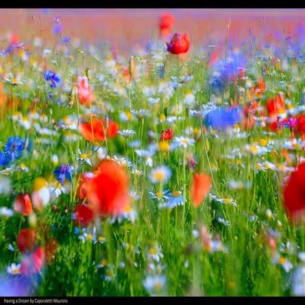 Simply Beautiful Earth | PPT