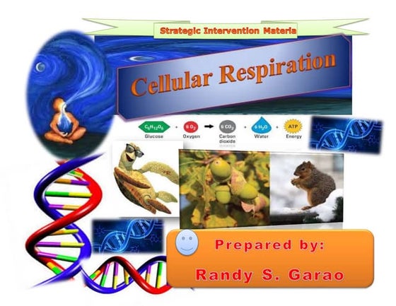 Cellular respiration introduction for 9th grade biology | PPT