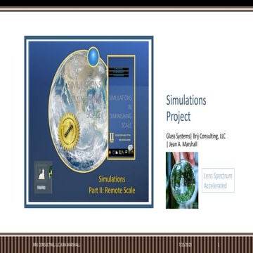 Simulations Project Part II.pdf