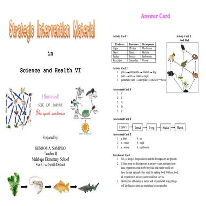 Food Chain /Food Web | DOCX