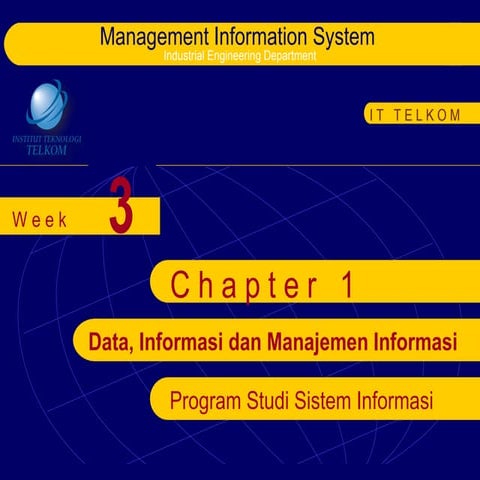 Sim week 03 chapter 01 | PPT