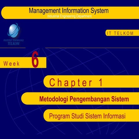 Sim week 06 chapter 01 | PPT