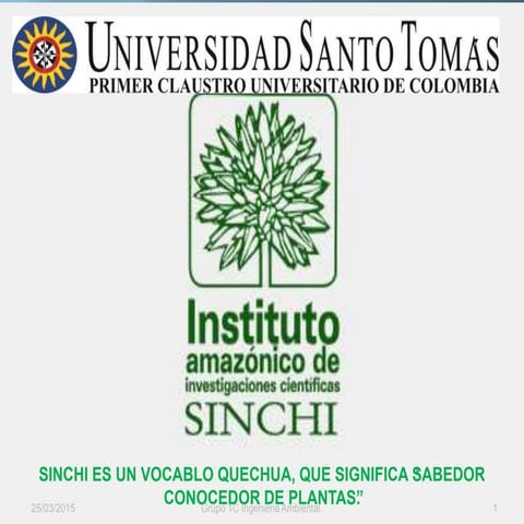 INSTITUTO AMAZÓNICO DE INVESTIGACIONES CIENTÍFICAS (SINCHI) | PPTX
