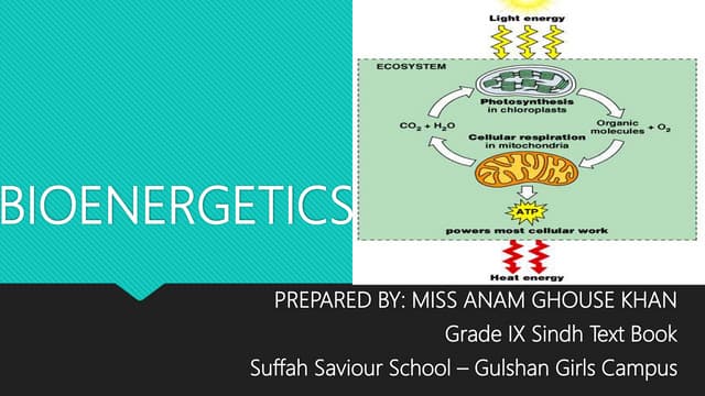 EARTH AND LIFE SCIENCE CHAPTER 6 BIOENERGETICS | PPTX