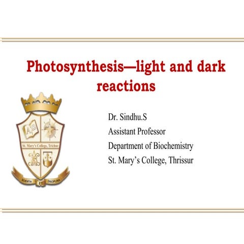Biochemistry:Photosynthesis—light and dark reactions | PPT