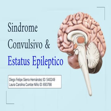 Sindrome Convulsivo & Estatus Epileptico.pdf