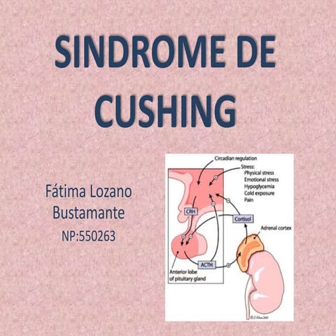 Fisiopatologia del sd de cushing | PPTX