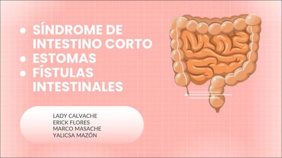 Fistulas intestinales presentacion.pptx.... | PPTX