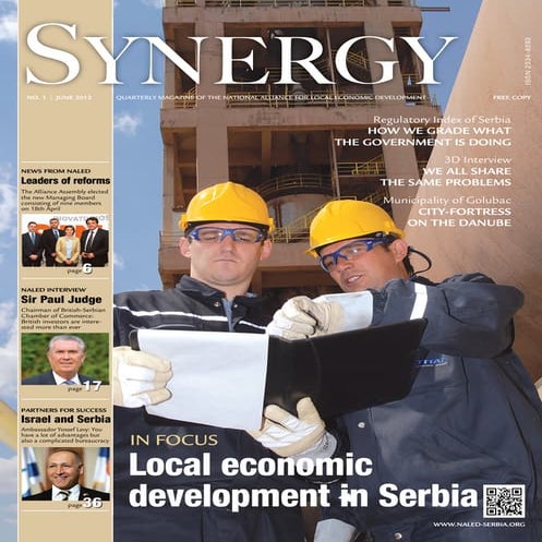 SYNERGY - QUARTERLY MAGAZINE OF THE NATIONAL ALLIANCE FOR LOCAL ...