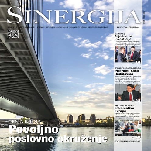 Sinergija - povoljno poslovno okruženje | PDF