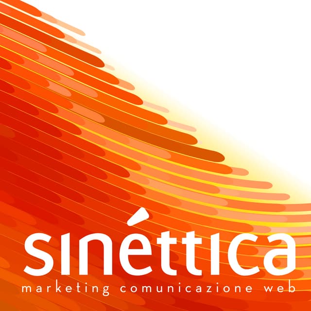 Sinettica portfolio | PDF