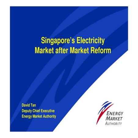 Singapores Electricity Market After Market Reform | PDF