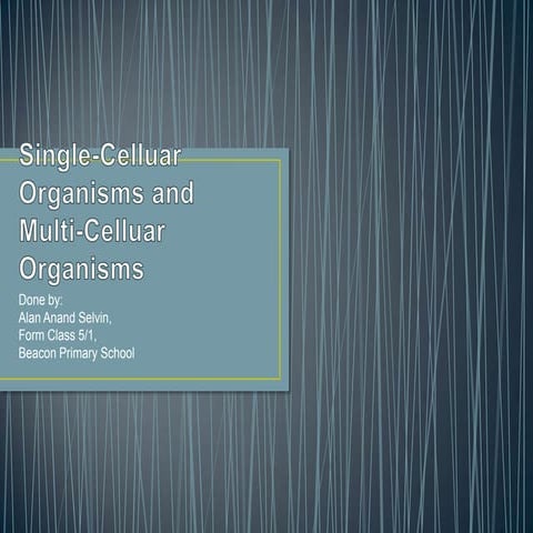 Virus slides | PPT
