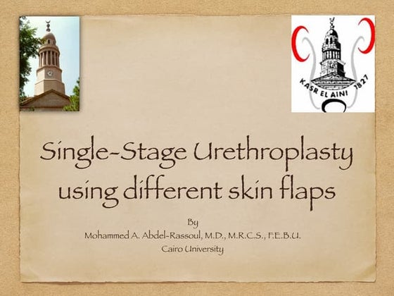 Bmg hypospadias | PDF