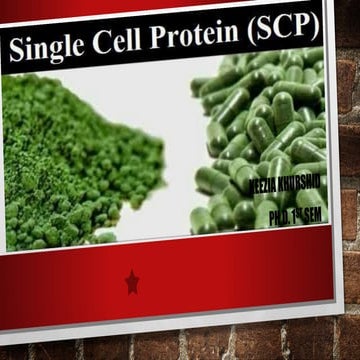 Single cell protein | PPTX