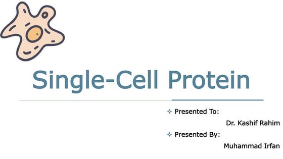 SCP (single cell protein) production | PPT
