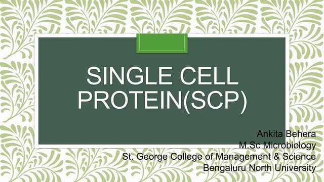 Single cell protein | PPTX | Chemistry | Science