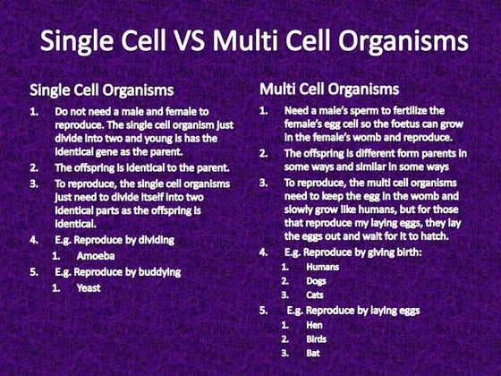 Unicellular and Multicellular Organisms | PPT | Biological Sciences ...