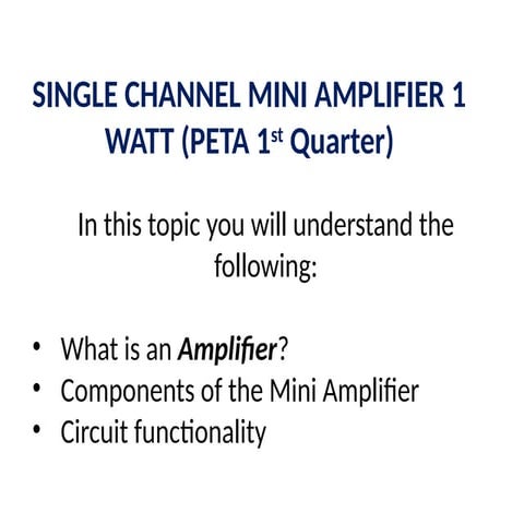 SINGLE CHANNEL MINI AMPLIFIER 1 WATT (PETA.pptx