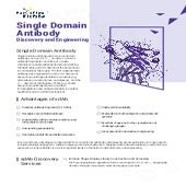 Human or Humanized Antibody Services | PDF