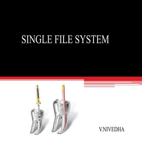 Single file system | PPTX