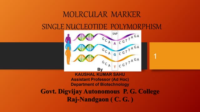 Single nucleotide polymorphism, (SNP) | PPT