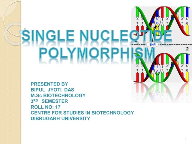 Single Nucleotide Polymorphism Snp Ppt