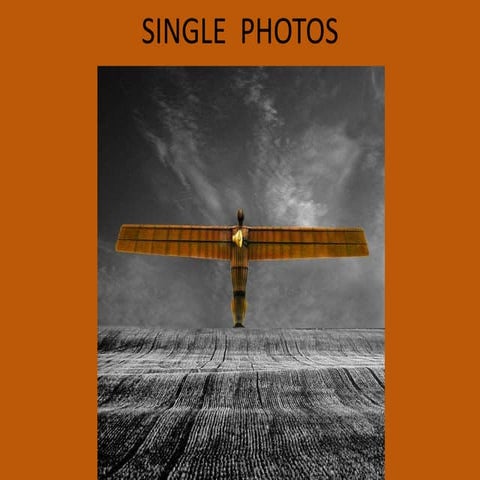 Single Photos | PPSX