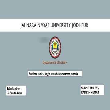 single strand chromosome model by R parihar.pptx