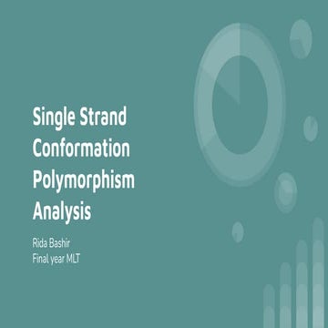 Single Strand Conformation Polymorphism Analysis 1 Pdf
