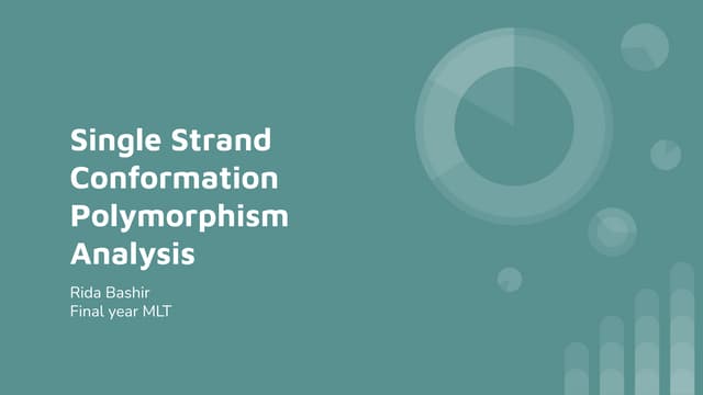 Single Strand Conformation Polymorphism Analysis 1 Pdf