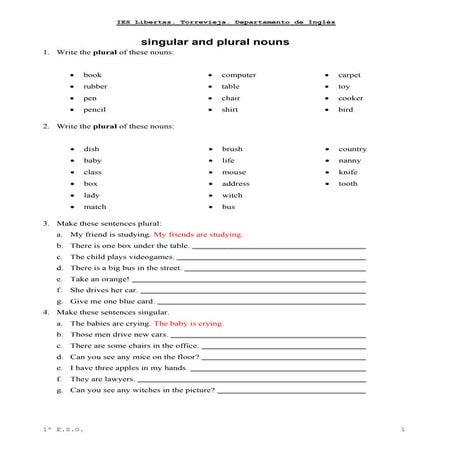 Singular and plural nouns activity | PDF