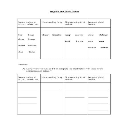 Singular and plural nouns exercise | PDF