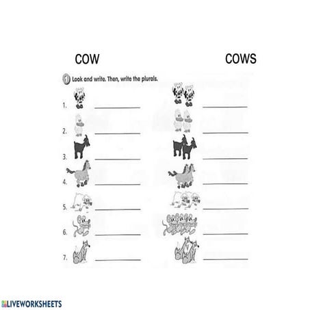 Singular And Plural Animals