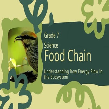 Understanding Food Chains and Energy Flow in Ecosystems for Grade 7 ...