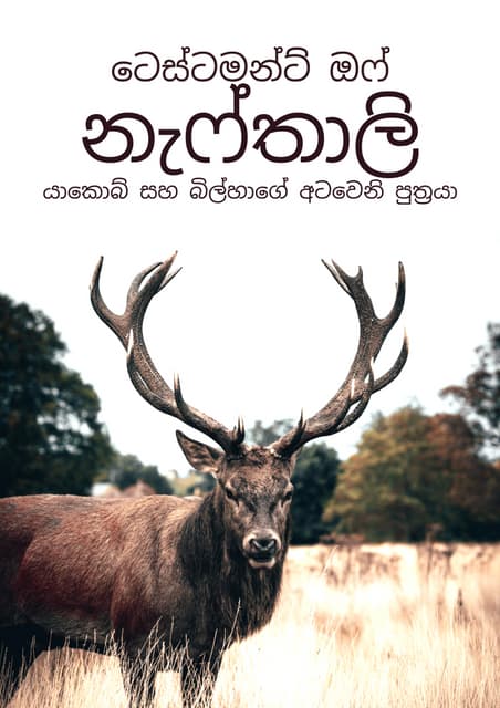 Sinhala - Prayer of Azariah.pdf